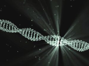 Il DNA dei Pozzi Toscani Rivela i Segreti della Storia del Vino ...
